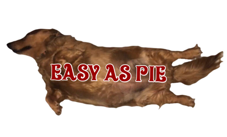 TAYUMiとEASY AS PIEのPOP UPを同時開催！ – URBAN RESEARCH MEDIA